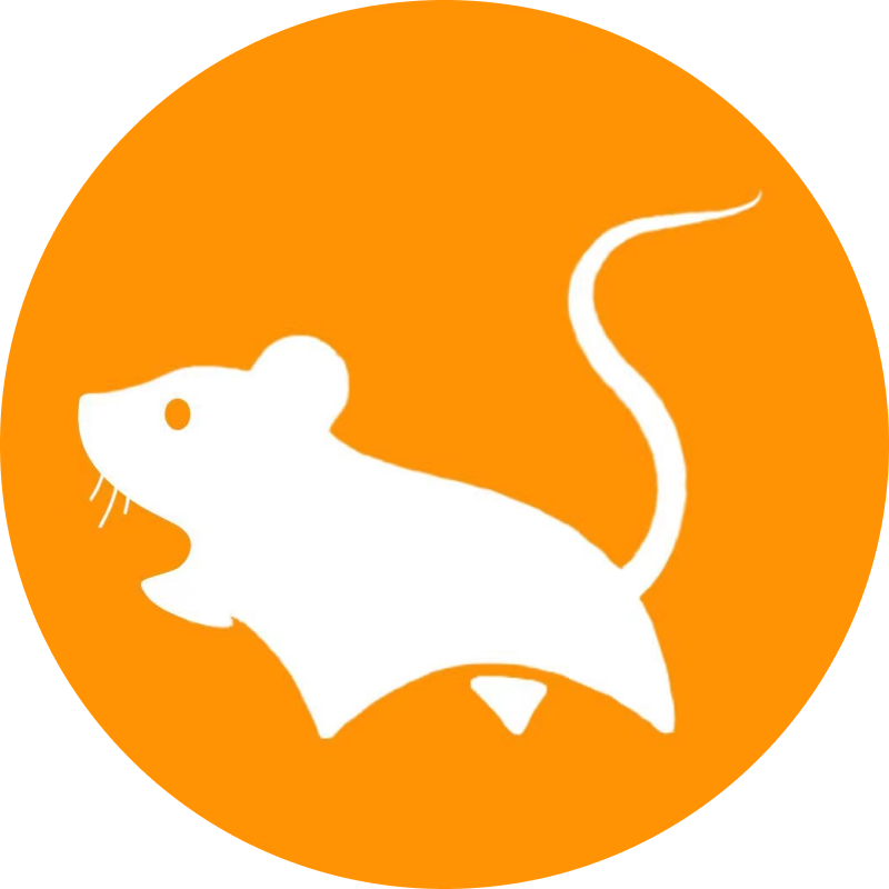 DFS Block Explorer - dfsmoon